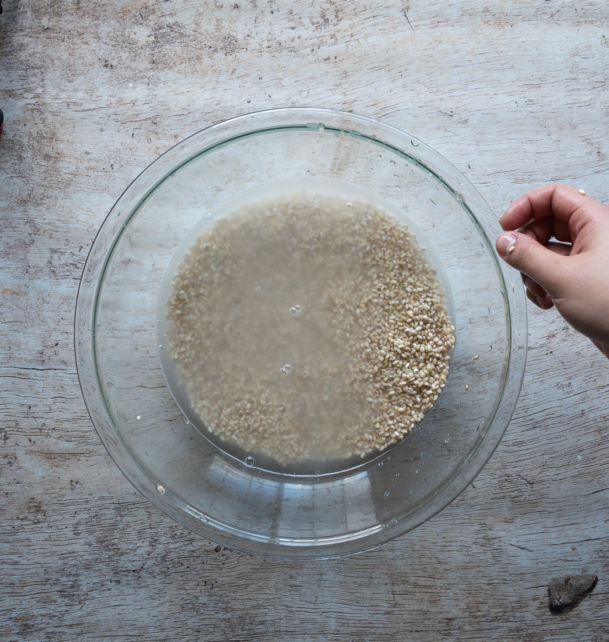 Omma’s Beoseot Bap (Mushroom Rice) – the little stone